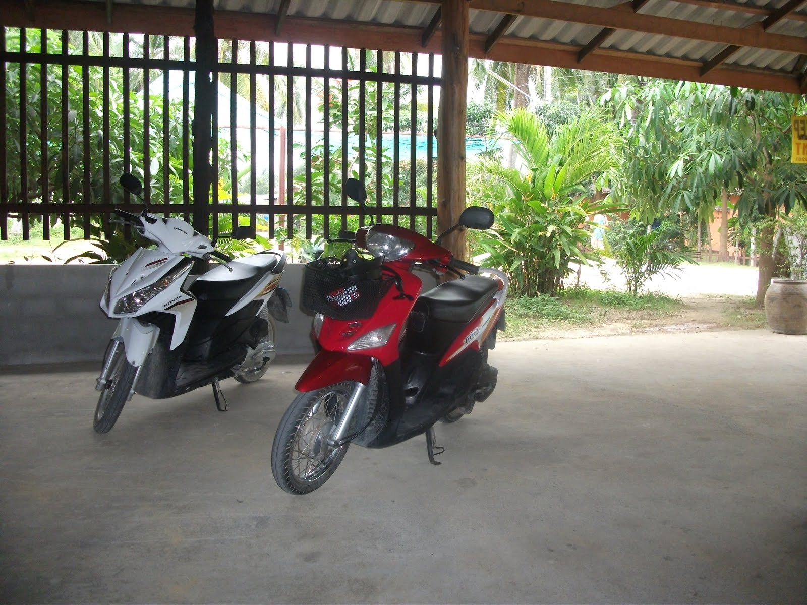 My Life in Dongtan, South Korea: Ringin in the New Year: Thai Style