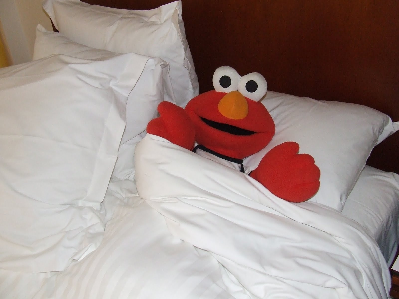 Elmo's World Trip!: Elmo spends the day at the Marriott