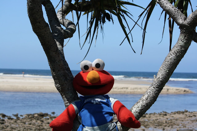 Elmo's World Trip!: Elmo had a family day at the beach.
