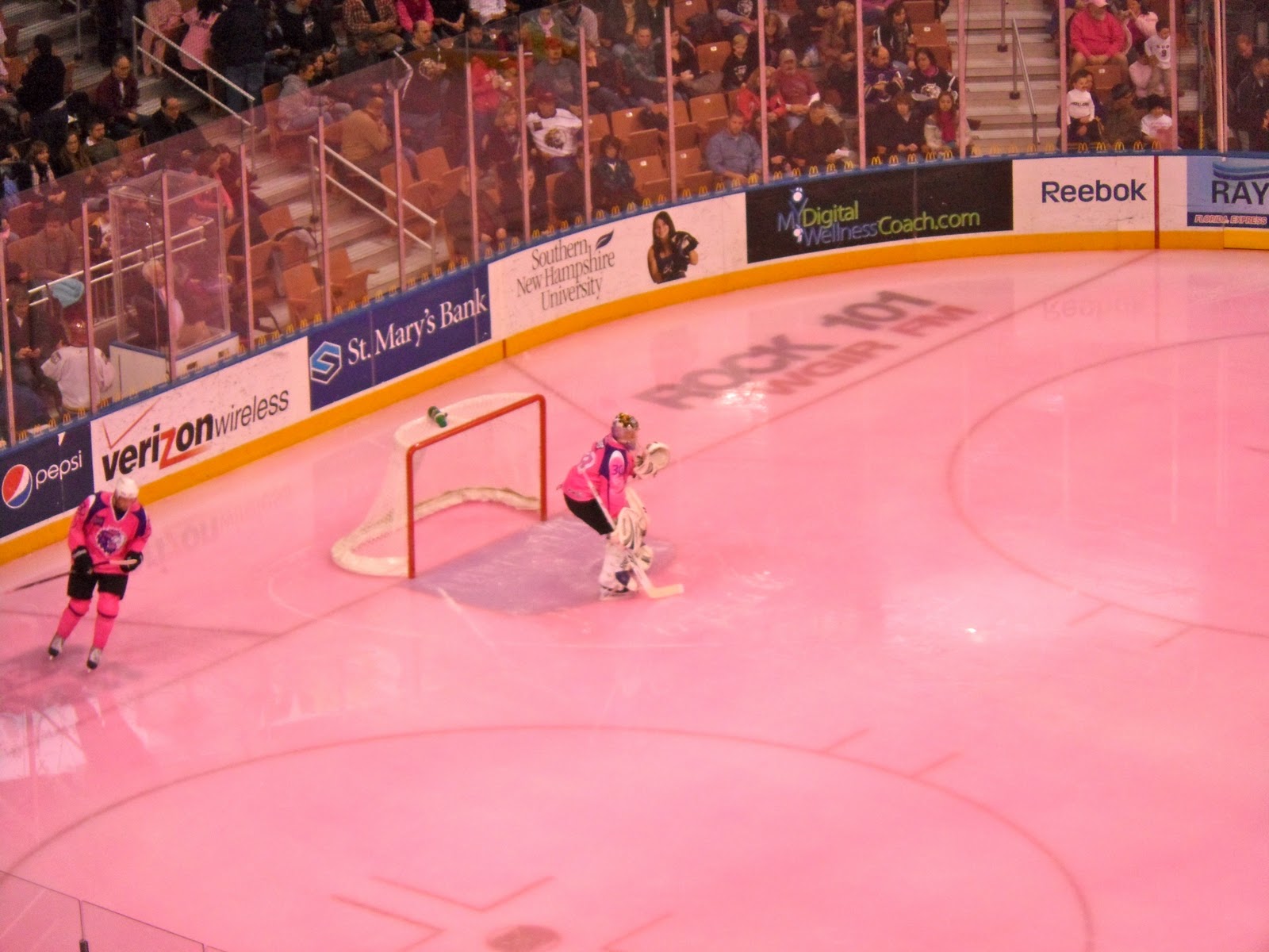 Life in the world of Meghan: Passion on Ice, Pink the Rink and Miss ...