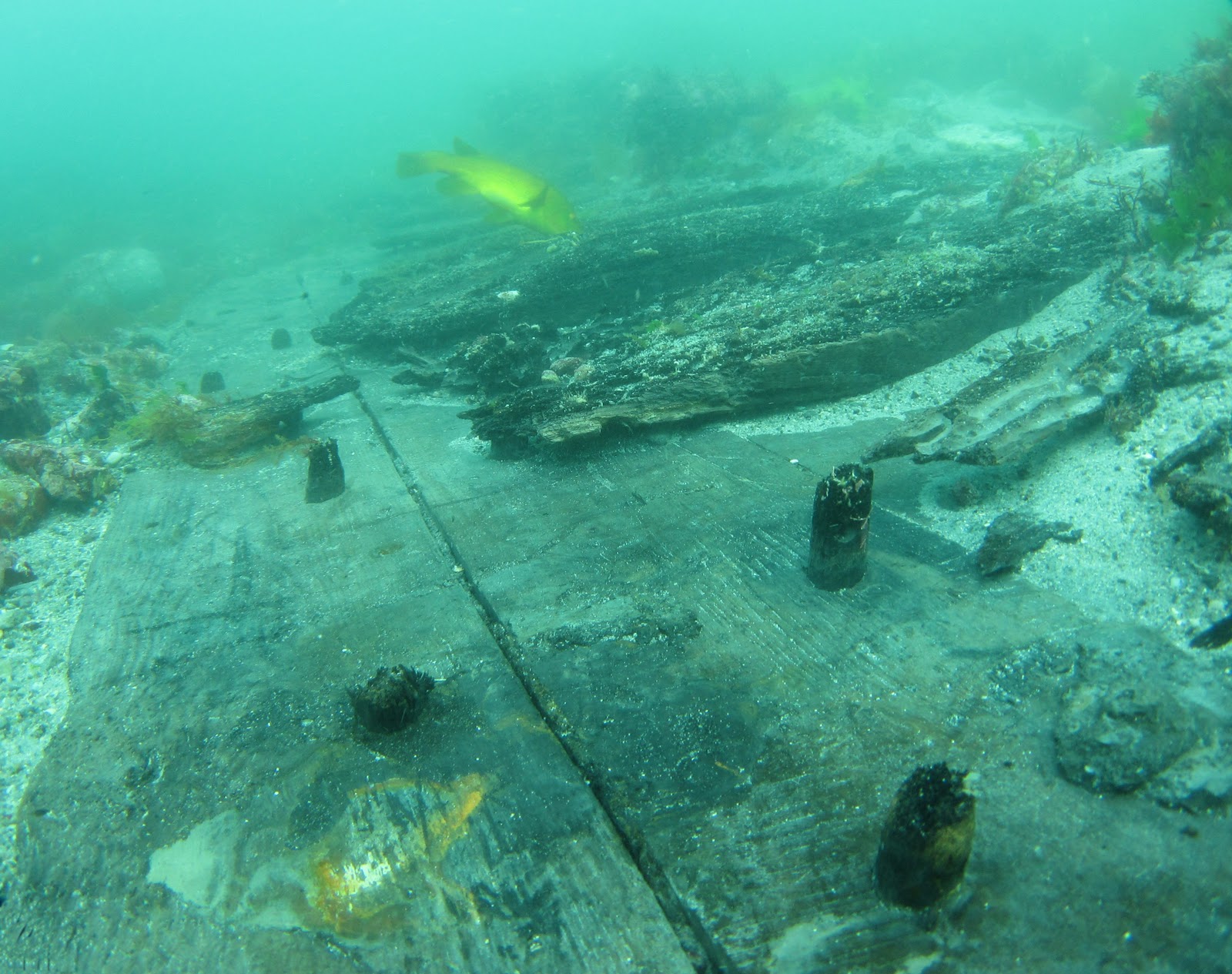 Scilly Divers. Cockney Buccaneer.: The John & Wreck at the Crim