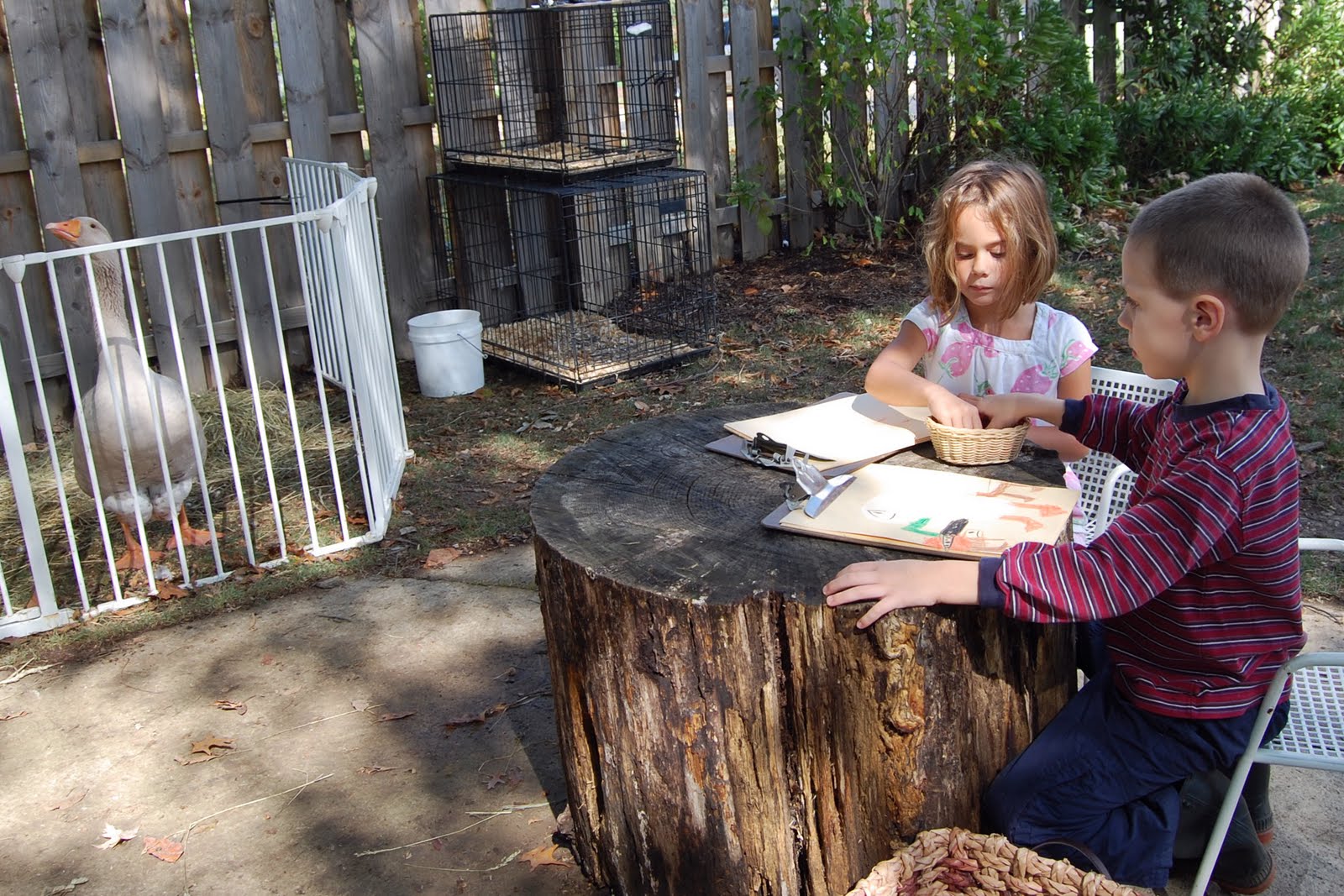 The Montessori Schoolyard: A Good Week for Digging for Worms