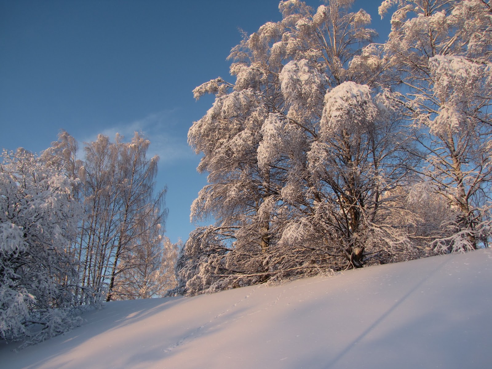 Vuodenajat valokuvin: Helmikuu