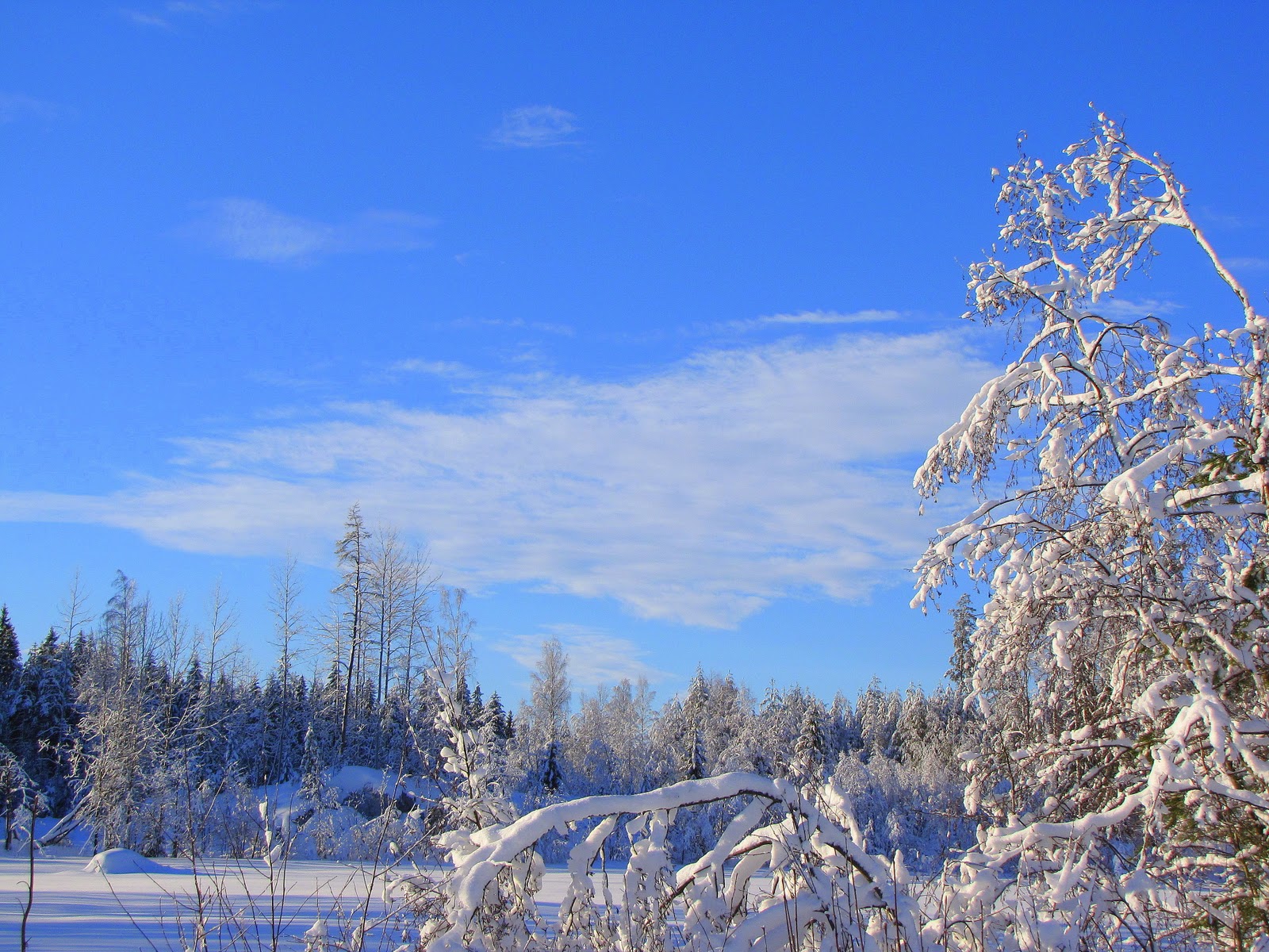 Vuodenajat valokuvin: Helmikuu