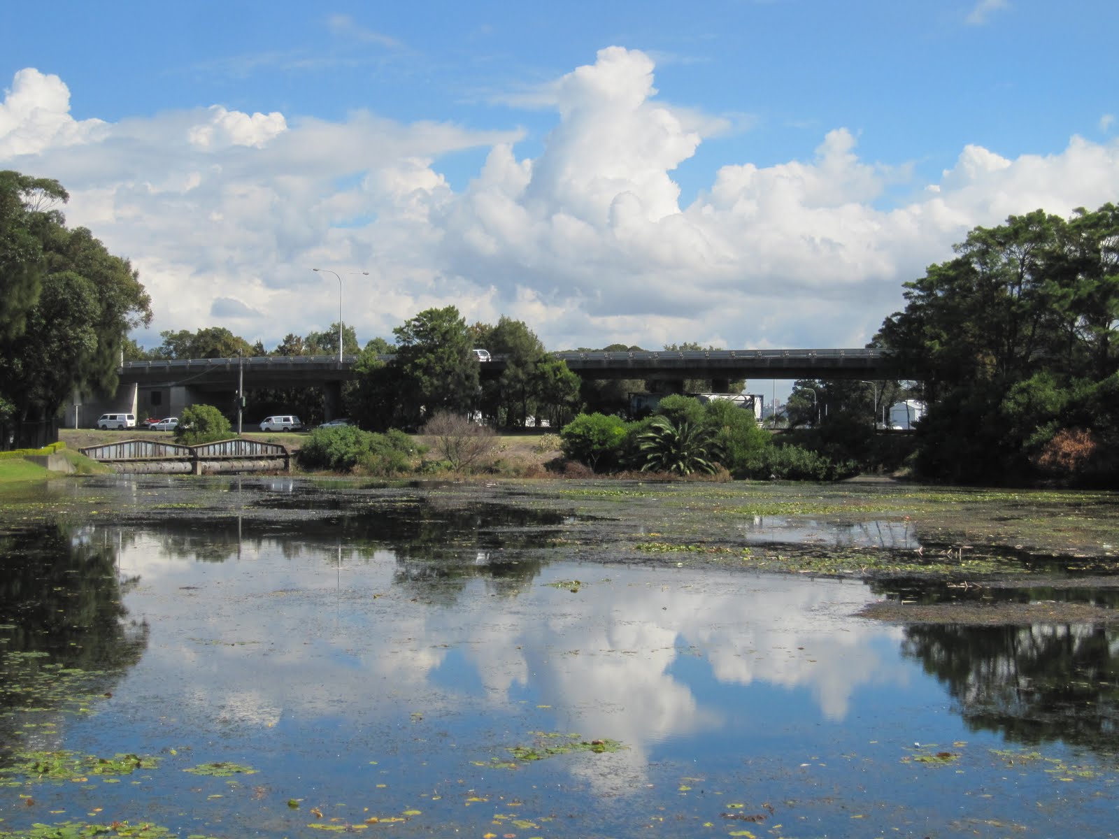 Sydney - City and Suburbs: Botany, pond