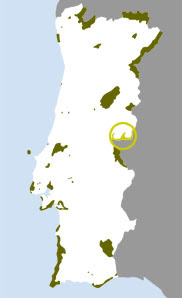 Projecto Floresta Unida 2009: Parque Natural do Tejo Internacional