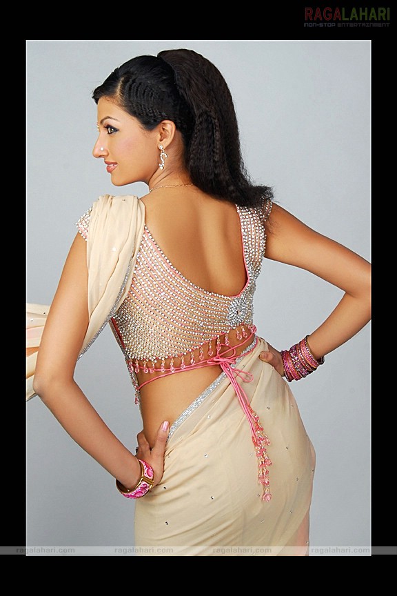Hamsa Nandini Back