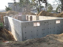 THE 280K HOUSE ON CAPE COD: Final interiors: (photos by Dan Cutrona)