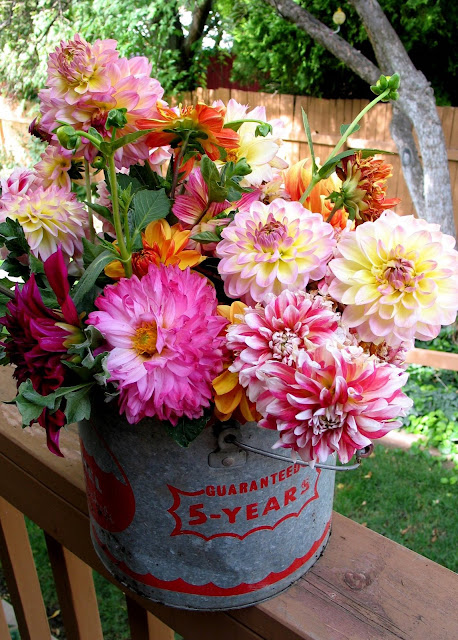 Bloom: My Top 10 Favorite Flowers