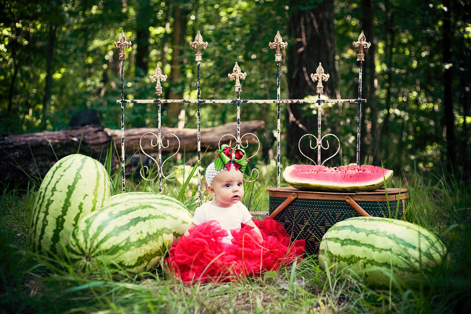 Mitchell Memories: Watermelon Shoot