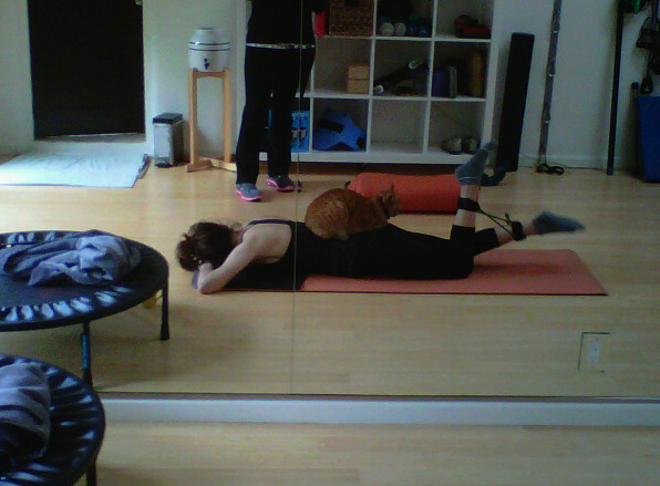 Catsparella: Kate Walsh's Feline Fitness Secret