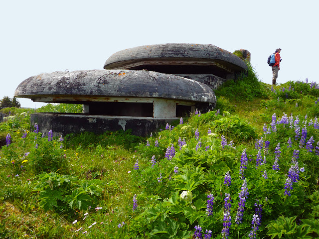 Northwest Explorer: Hiking Kodiak Island 2009