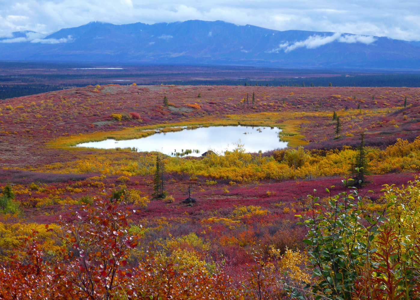 Northwest Explorer: Northern Alaska Road Trip 2008