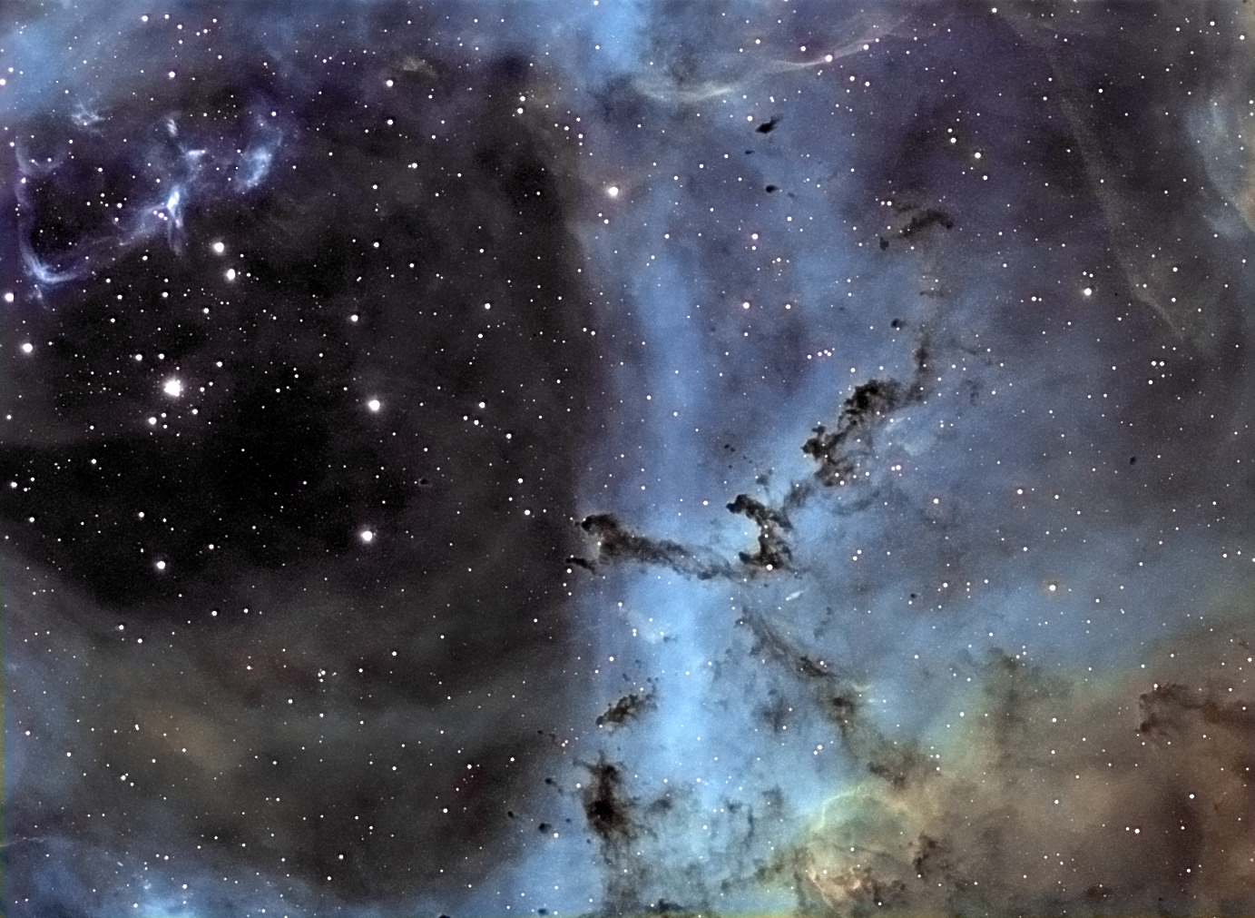 interstellar medium: Filaments of dust and Bok globules in the Rosette ...