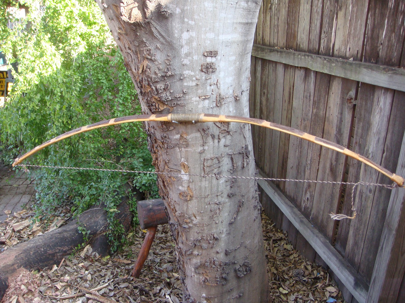 Woods Roamer: Bows and Arrows of the Coahuiltecan Geographical Region