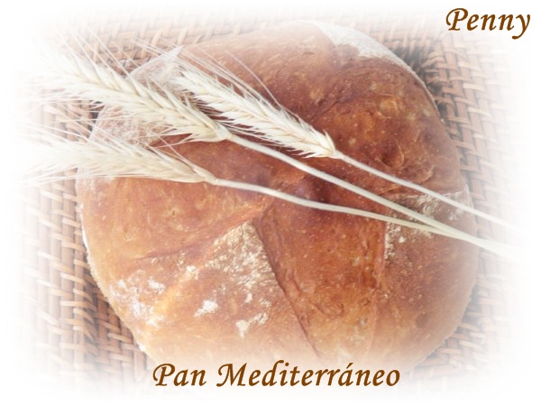 El Rincón de la Mariposa: 2010