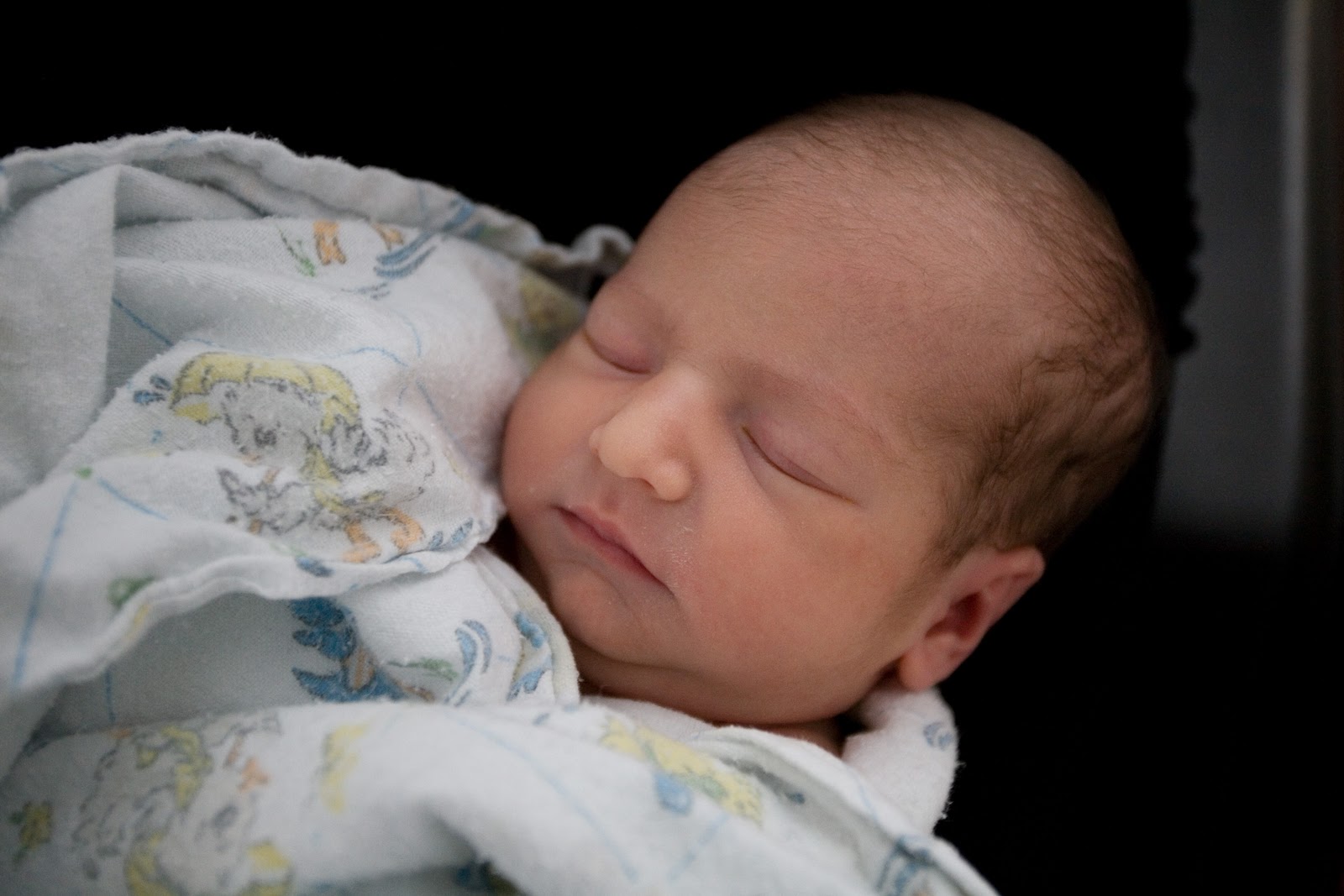 Layla Rose 2011 - locdif