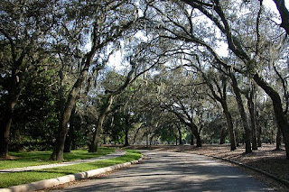 Tampa Bay Real Estate: Introducing Temple Terrace