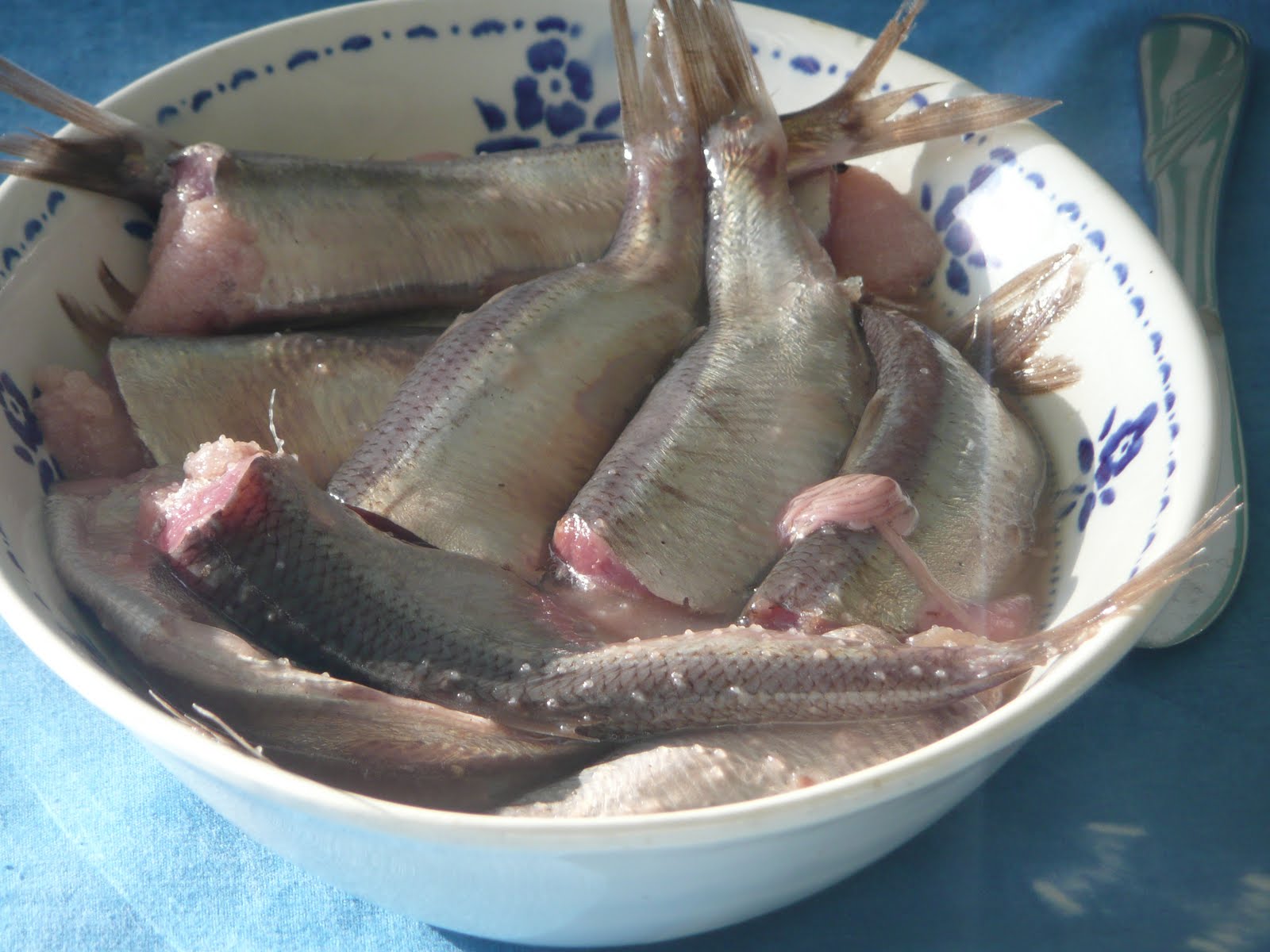 Surströmming - älskad och hatad!