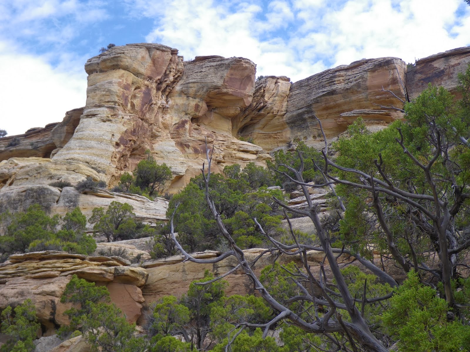 Fly's Picture Place: McConkie Ranch Vernal Utah