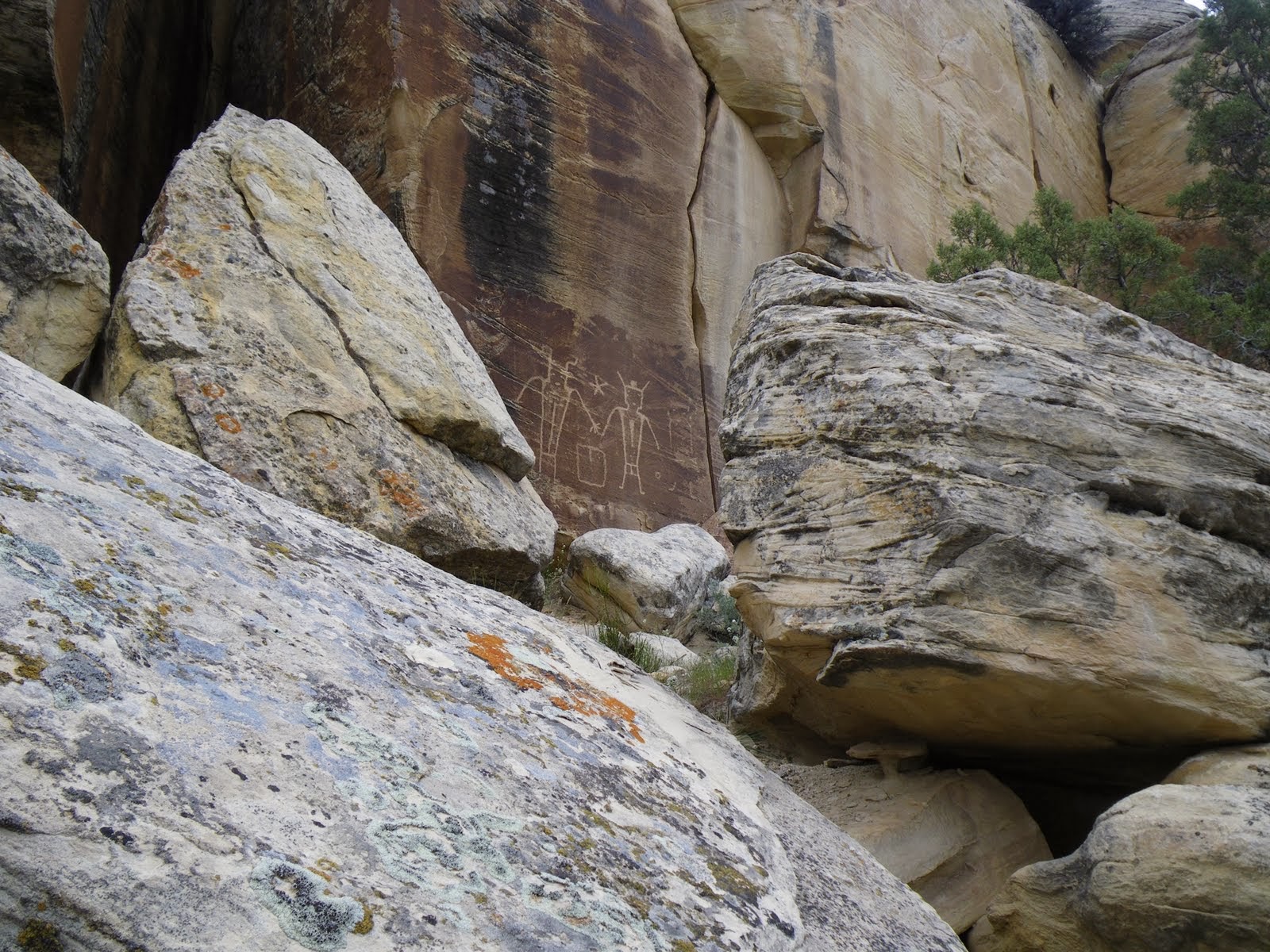 Fly's Picture Place: McConkie Ranch Vernal Utah