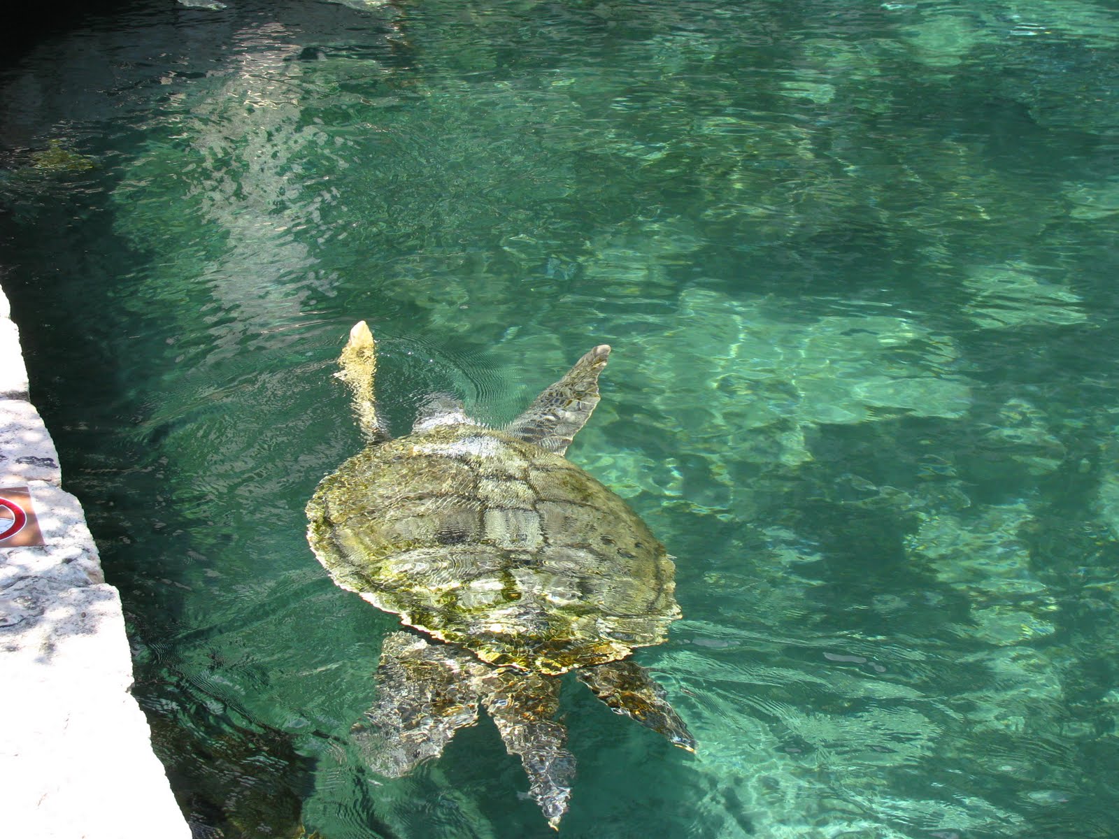 Porter Family: XCARET Thursday September 30