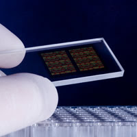 Noticias de Salud: Científicos españoles desarrollan el primer chip de ...