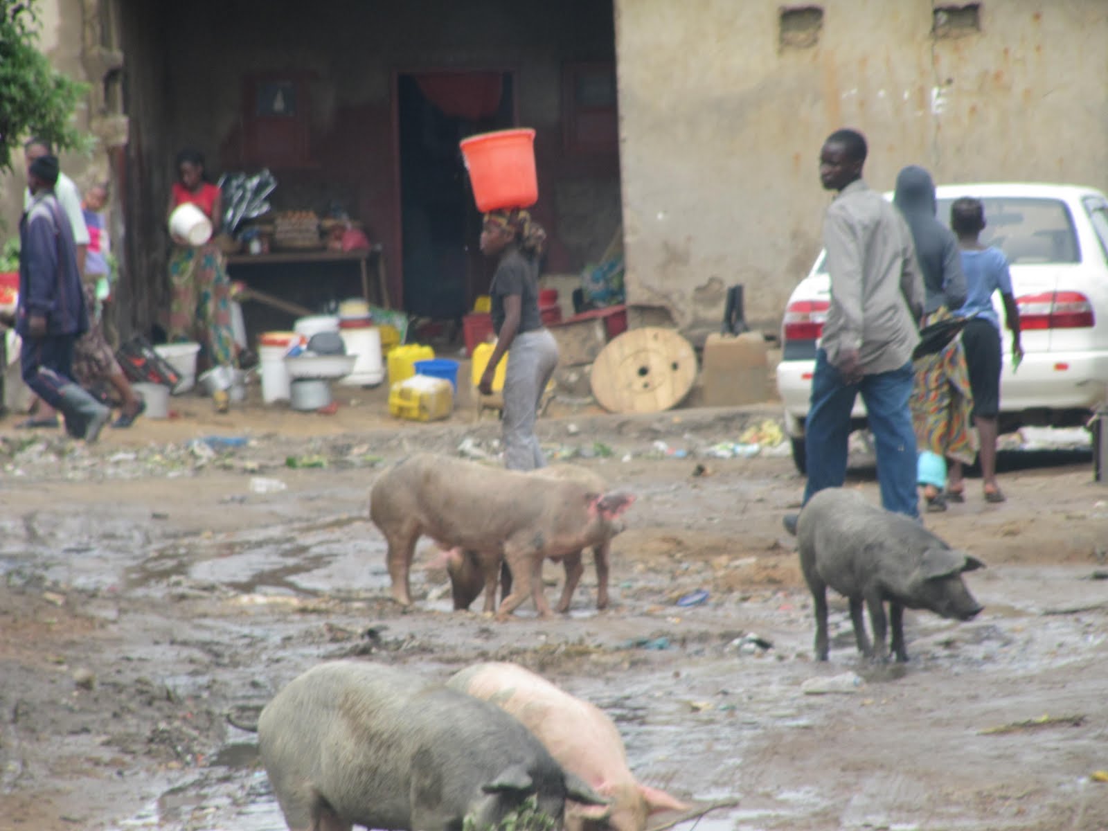 Jordan & Corbin's Adventure in Africa
