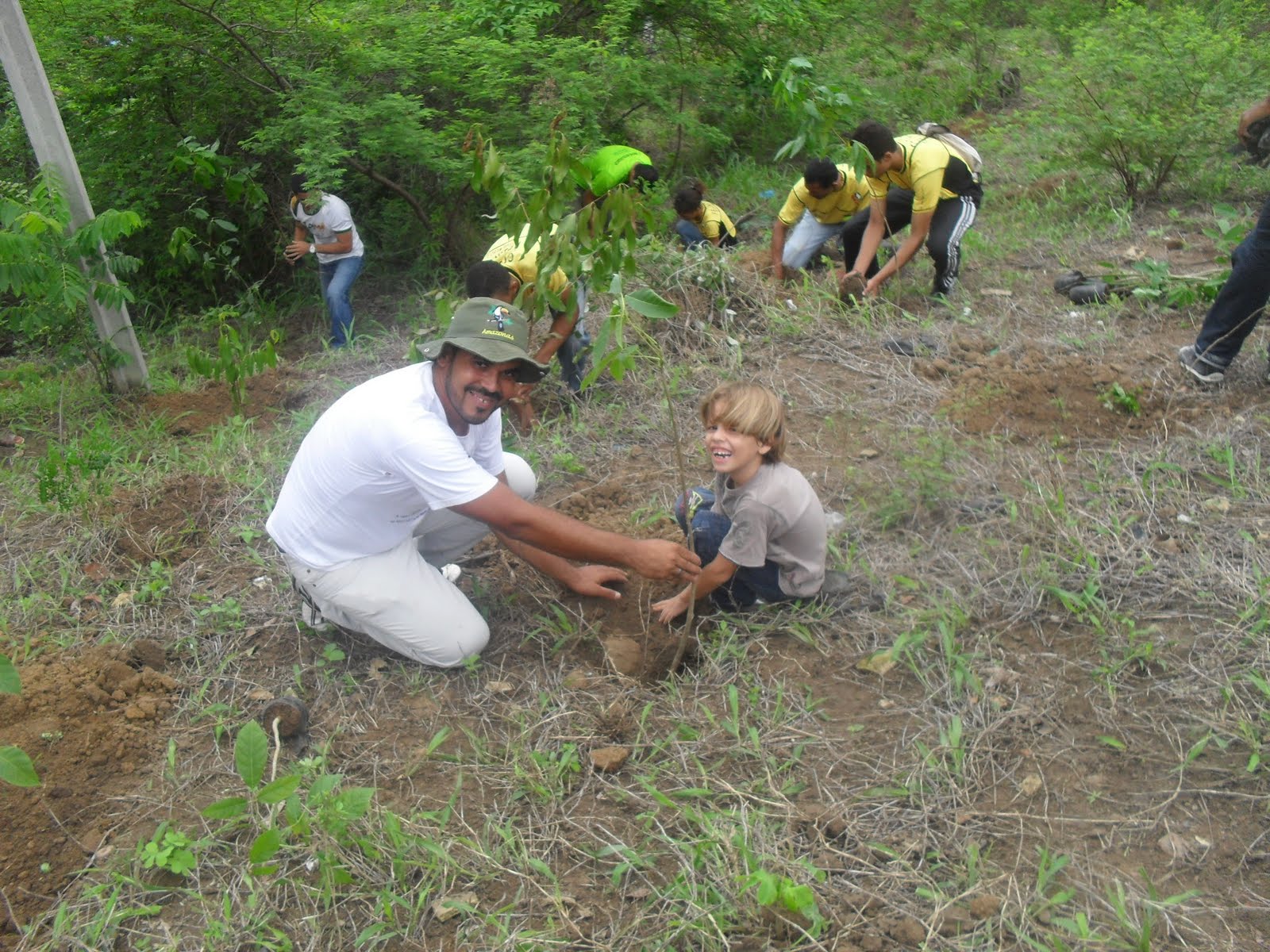 REFLORESTAMENTO DA NASCENTE DA FONTE DO CIPOAL