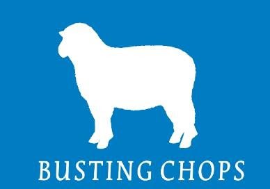 English idioms,sayings and expressions: Busting your chops 944