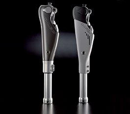 Profile Facts: Prosthetic limb