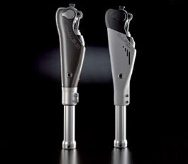 Profile Facts: Prosthetic limb