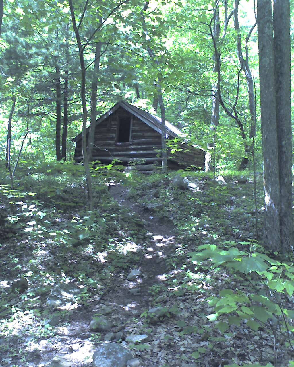Hawksbill Cabin: Corbin Cabin/Nicholson Hollow: an "easy" SNP day hike
