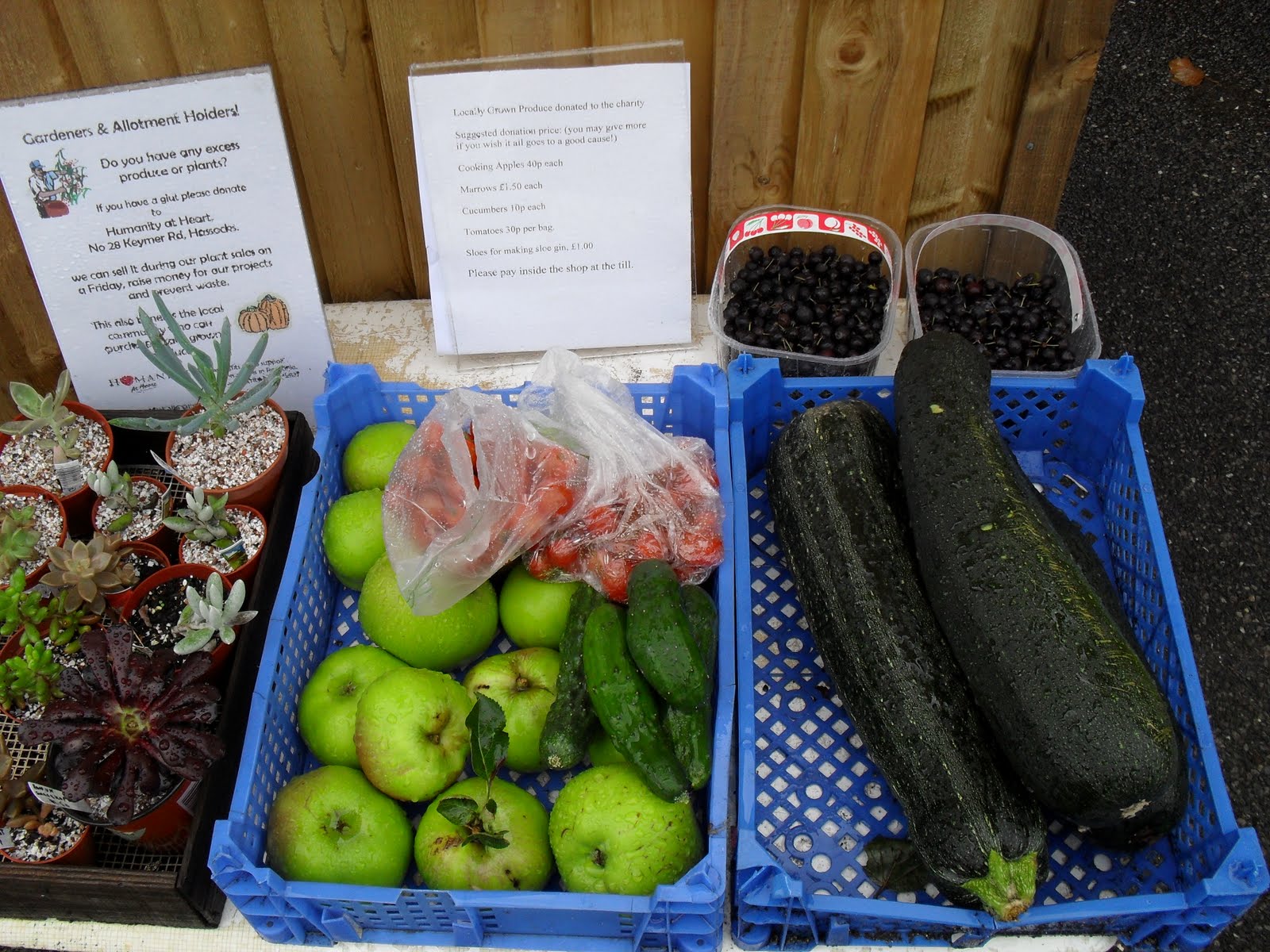 Donating Vegetables | Humanity at Heart