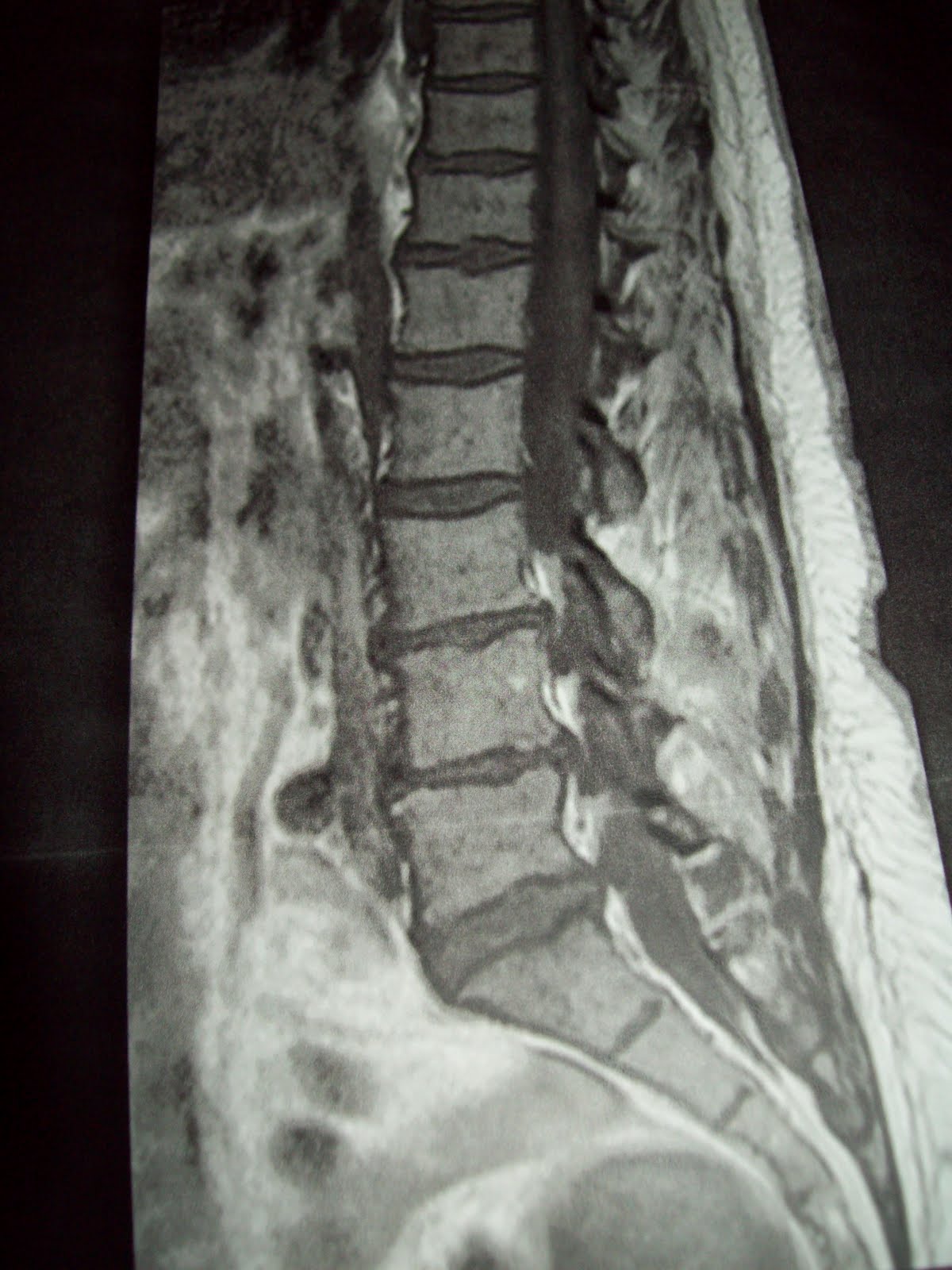 Maria's funderingar: 2010