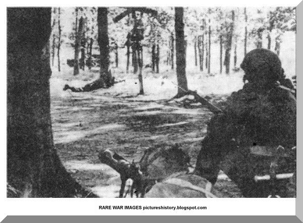 PICTURES FROM HISTORY: Rare Images Of War, History , WW2, Nazi Germany ...