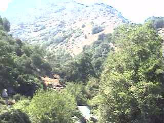 Cienc-Blog: Estero El Arrayán (Santuario de la naturaleza)