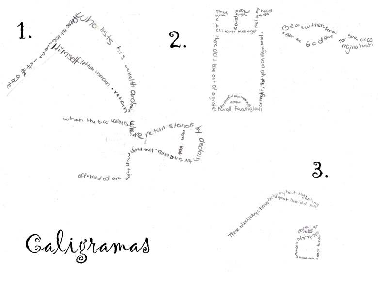 Caligrama De Un Libro