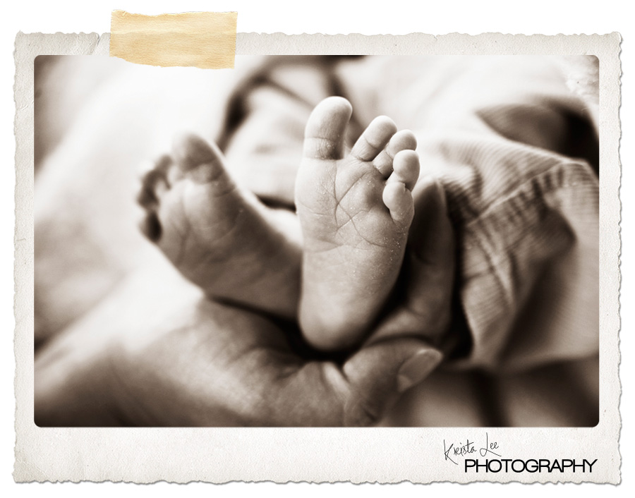 Kyle's first shoot : Newborn / Nashville Photographer - Krista Lee ...