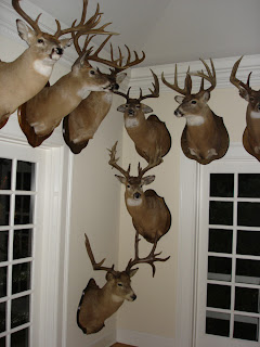 Andriana Laskari's Creative Corner - CG Arts and Animation: Inspiration ...