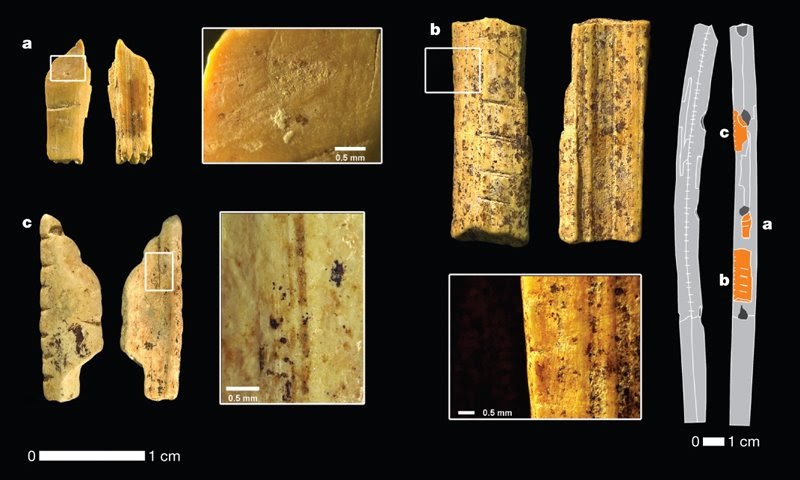 ALKAID ARQUEOLOGIA E HISTORIA: Halladas flautas de la Edad de Piedra en ...