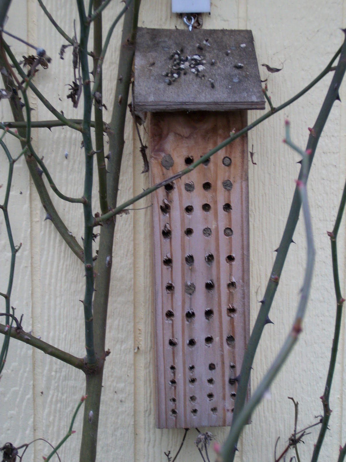 A Whole 'Nother Bee Blog: Mason Bee Houses