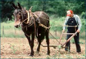 Tecnología: El arado