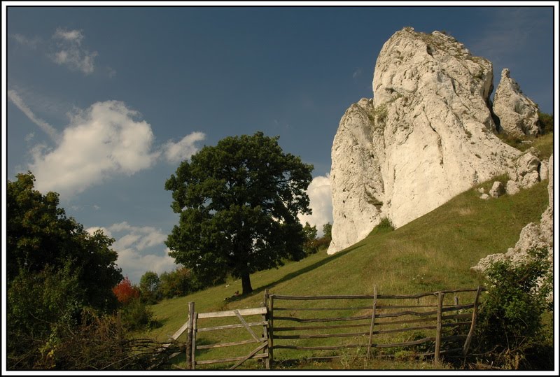 Poze tip pictures: parang - ziua 4