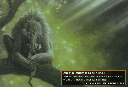 Paranormal And Strange World: Chupacabra (Mysterious Creature)