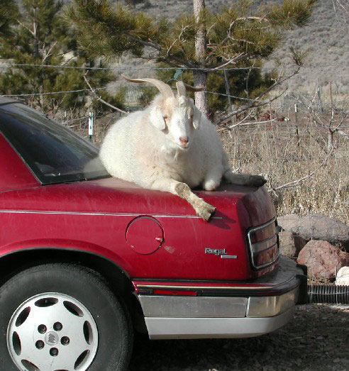 Bootae's Bloody Blog: October 2010