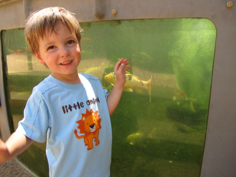 Nathan's Big Adventure: Dallas Zoo - Giants of the Savanna