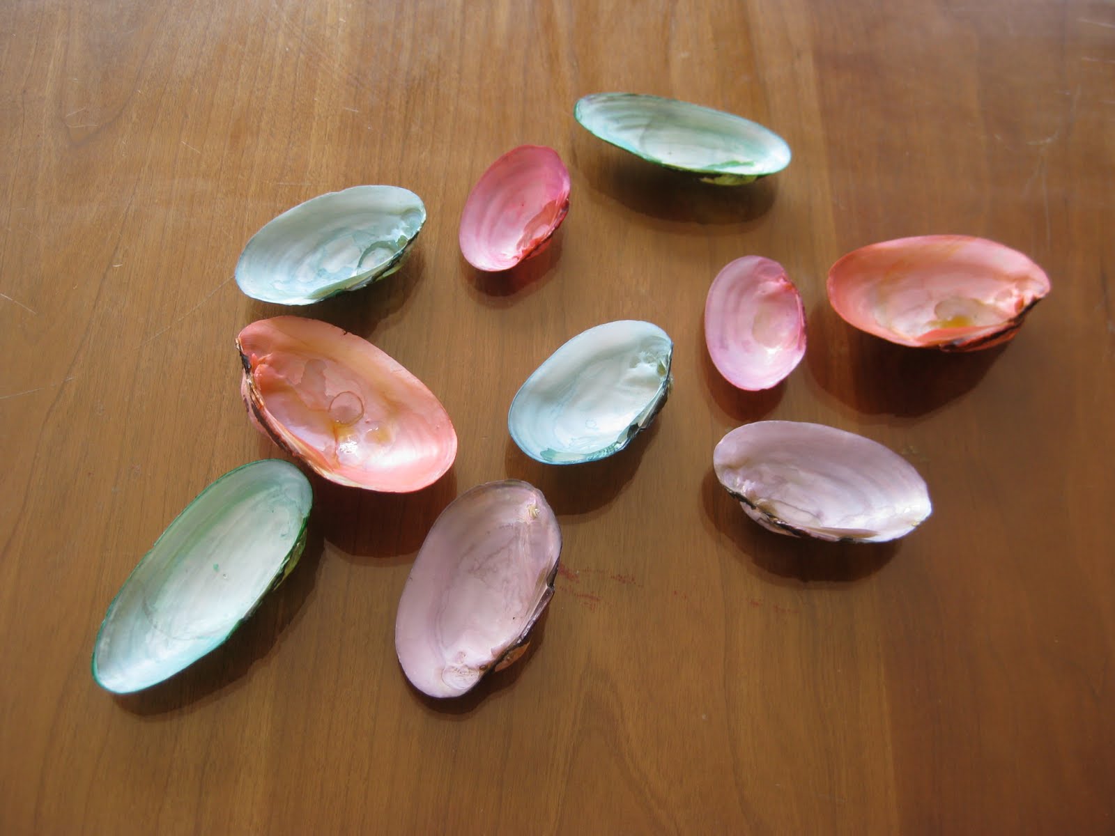 Clam Shell Craft Ideas / A decoupaged clam shell | Shells diy, Painted ...