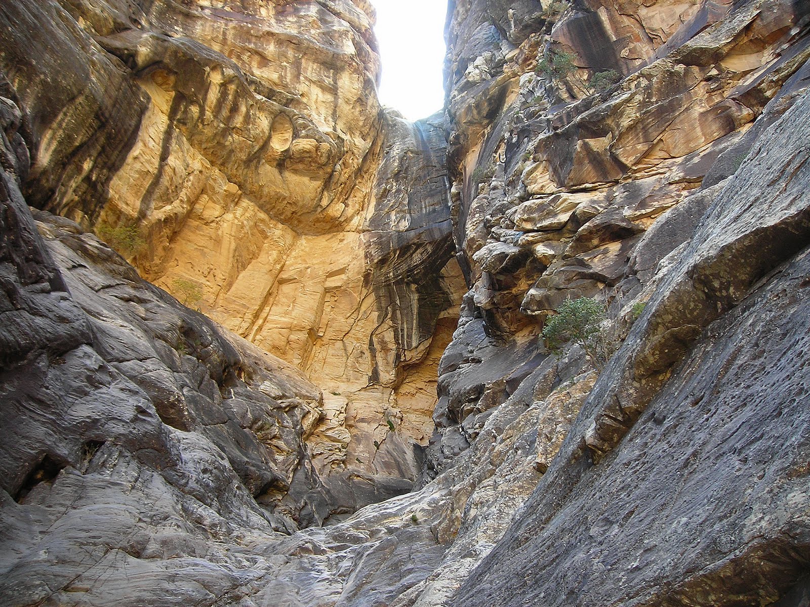 Vegas Girl: Las Vegas Hiking: Ice Box Canyon in Red Rock