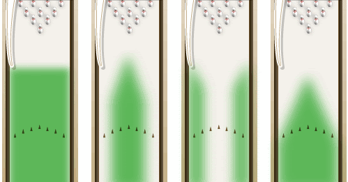 The HIGHS and lows of College Bowling: House Shot vs. Sport Shot